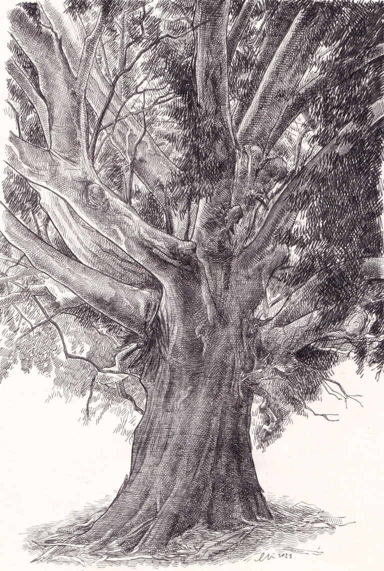 Blog | Lily Mae Martin